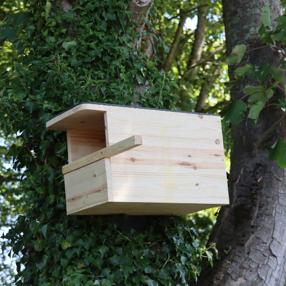 RSPB Shop