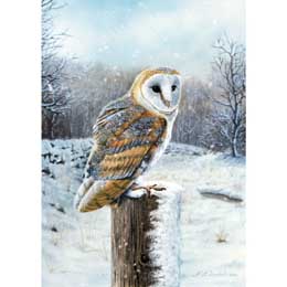 Charity Christmas Cards 2023, Fully Recyclable | RSPB Shop