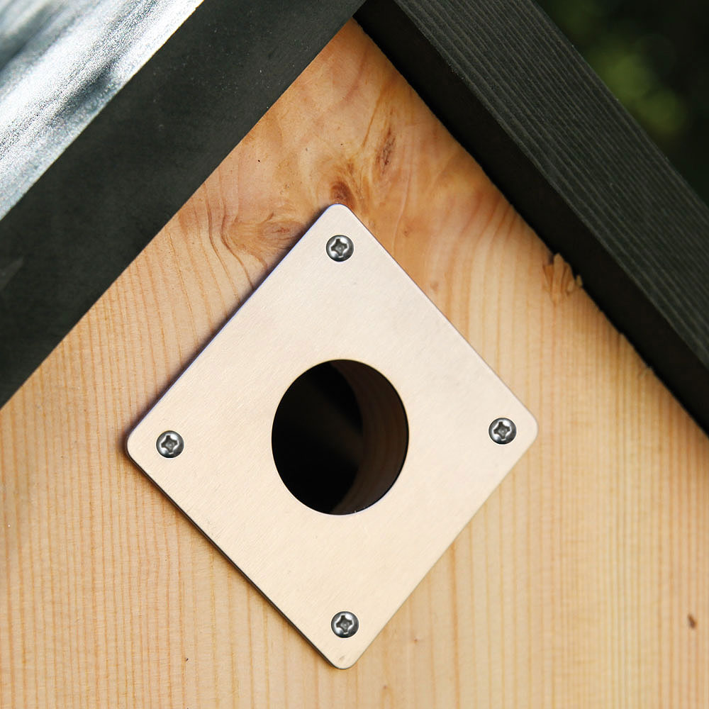 Nestbox plate 25mm - Nest box cameras & accessories