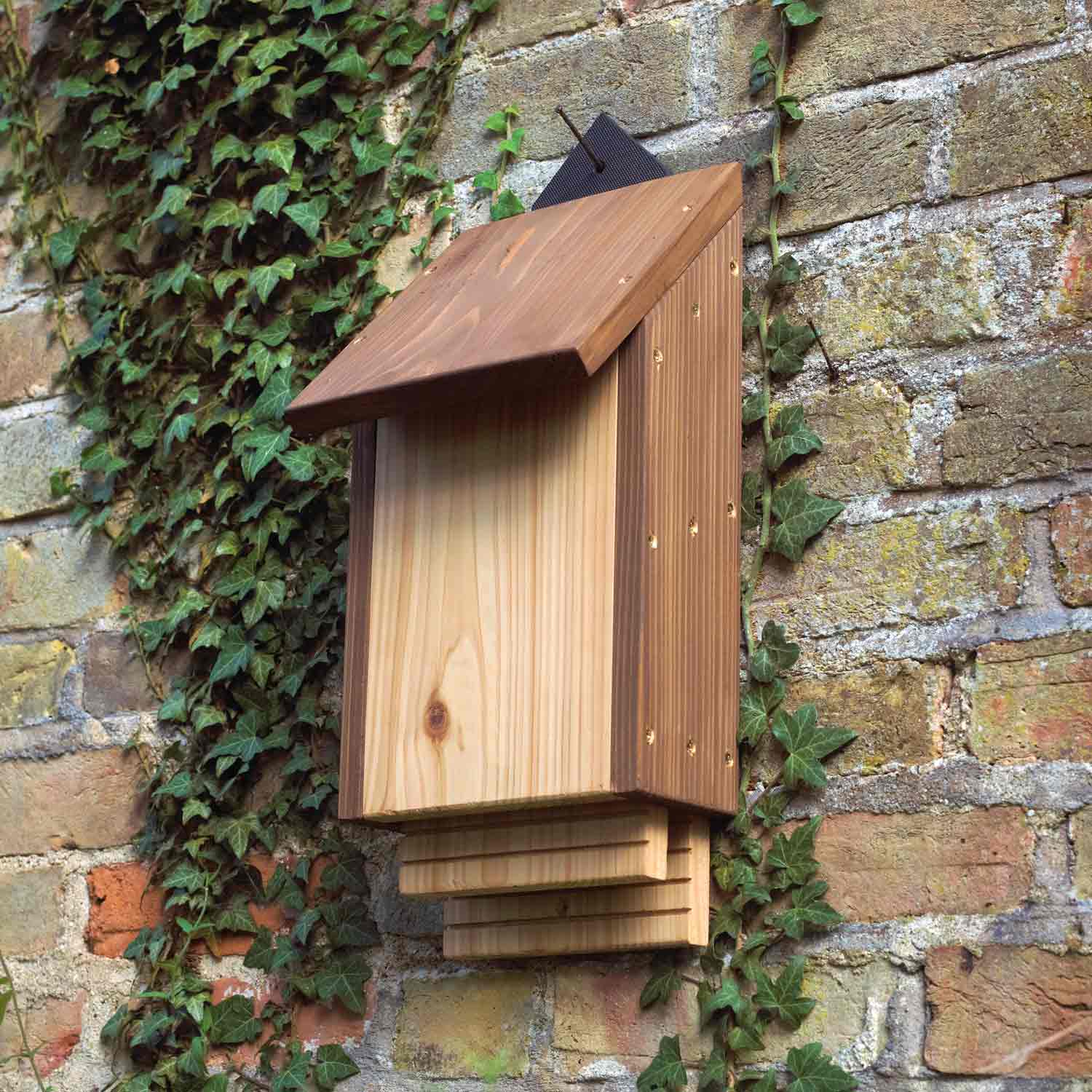 RSPB Burford bat box - Bats