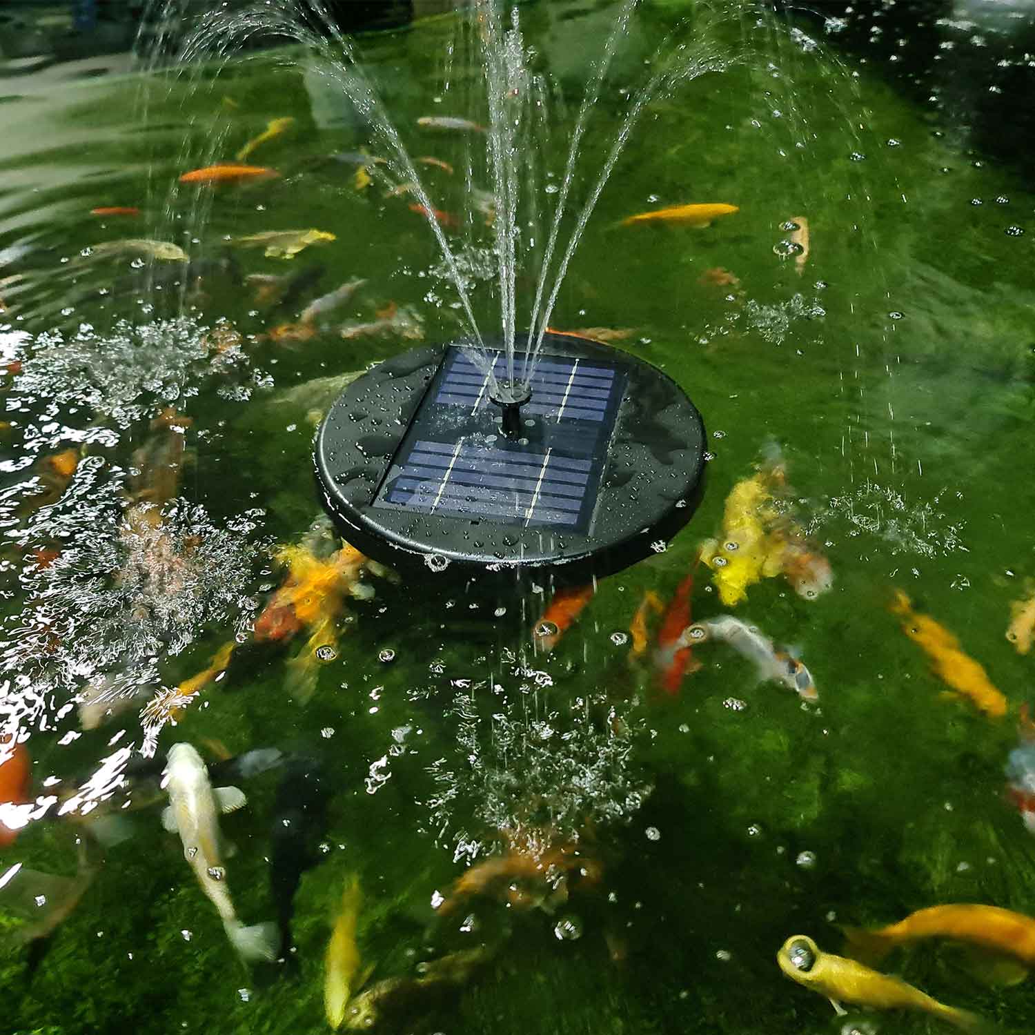 Solar-powered floating pond fountain - Wildlife pond areas