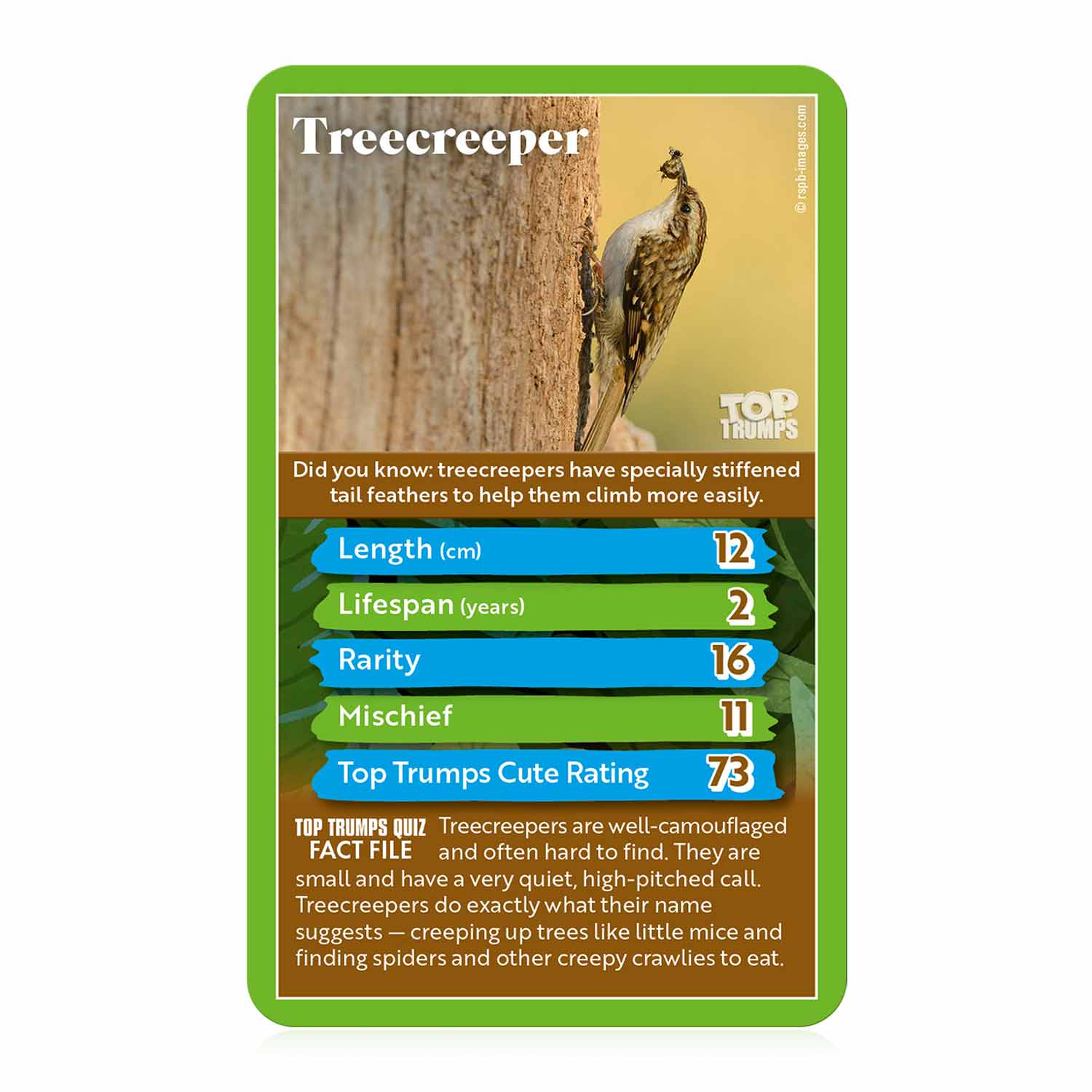 RSPB Woodland animals Top Trumps card game - Toys & activities