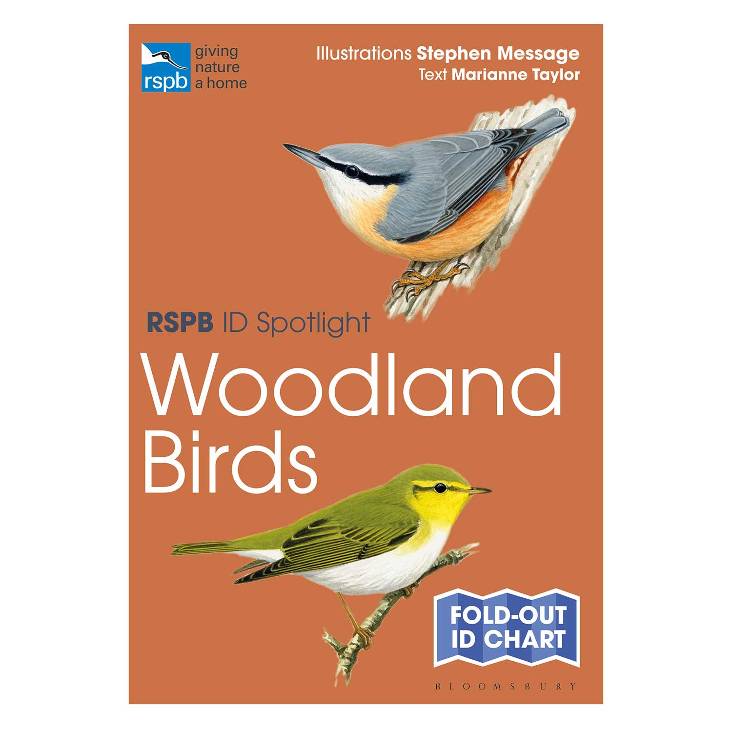 RSPB ID Spotlight - Woodland Birds - Wildlife charts